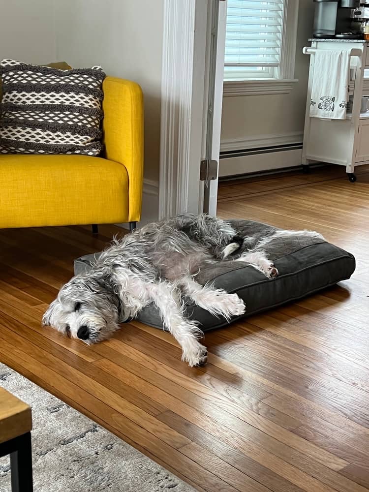 Today Has Been The Longest Week Ever – BEAN'S BABBLETORIUM